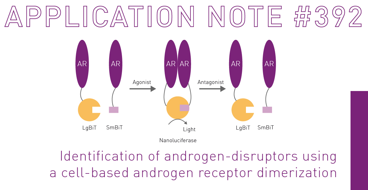 Receptor dimerization assay for androgen disruptors | BMG LABTECH